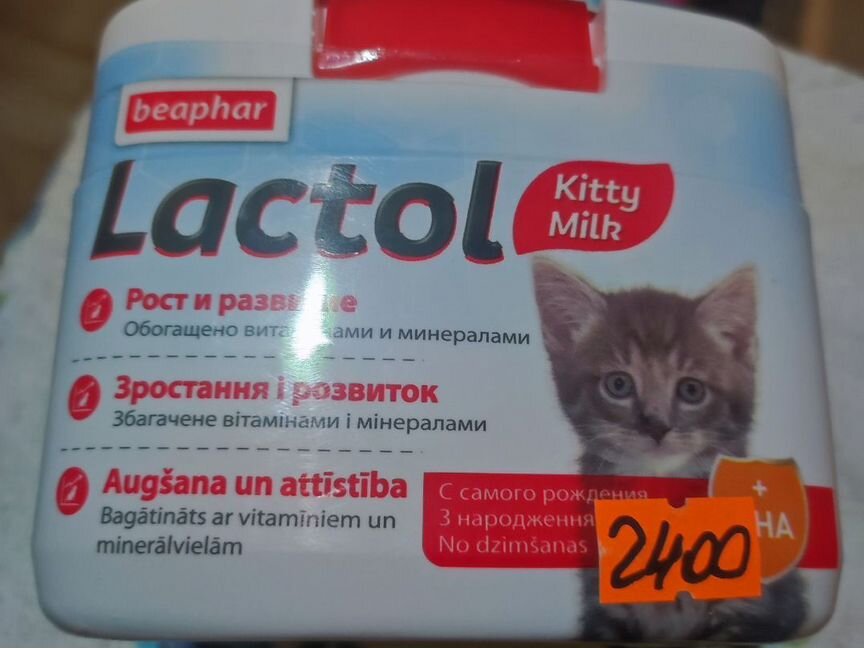 Смесь для новорождённых котят