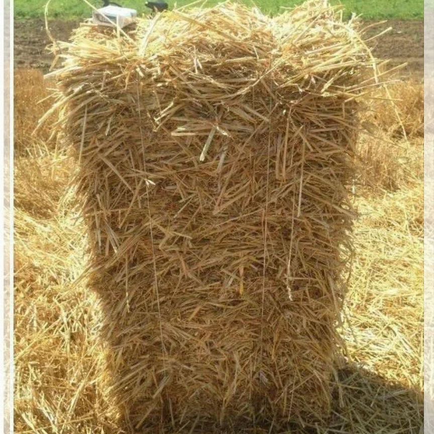 Солома в тюках