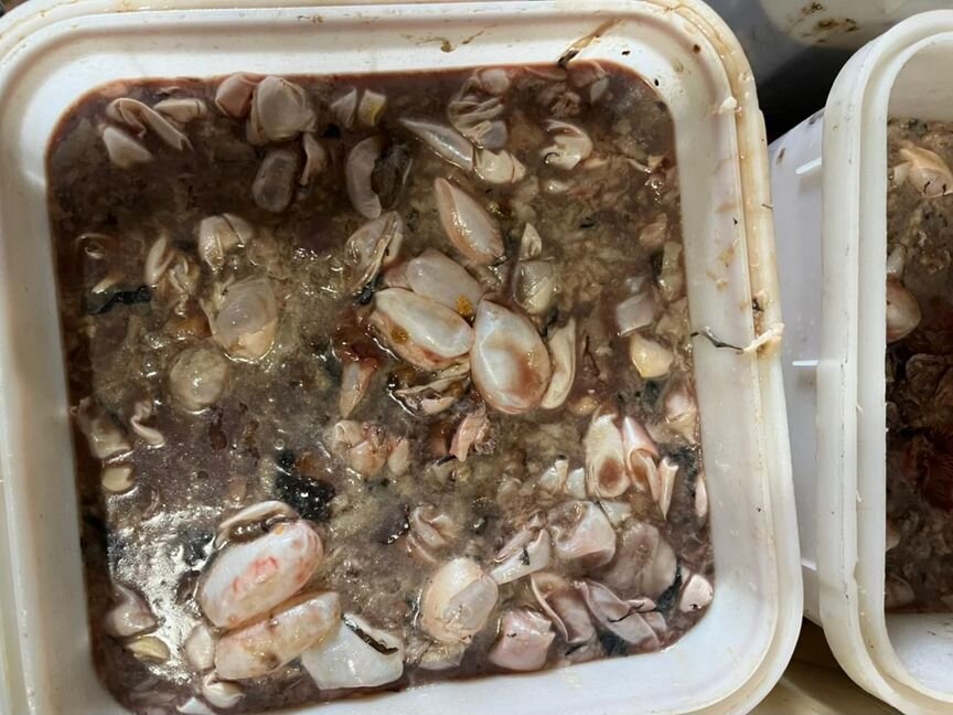 Рыбные отходы