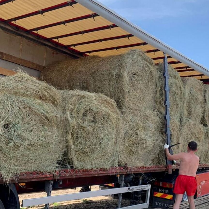 Сено с доставкой