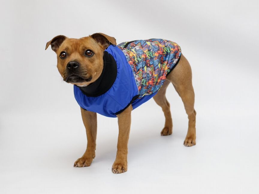 Жилетка для собак