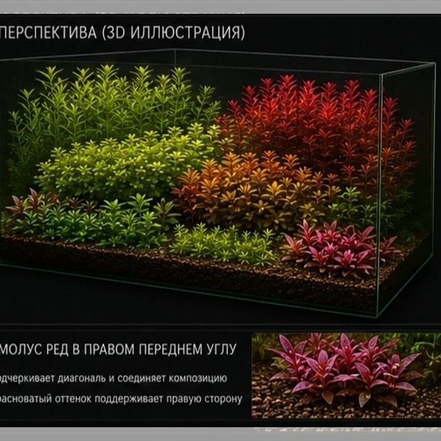 Акваскейпер