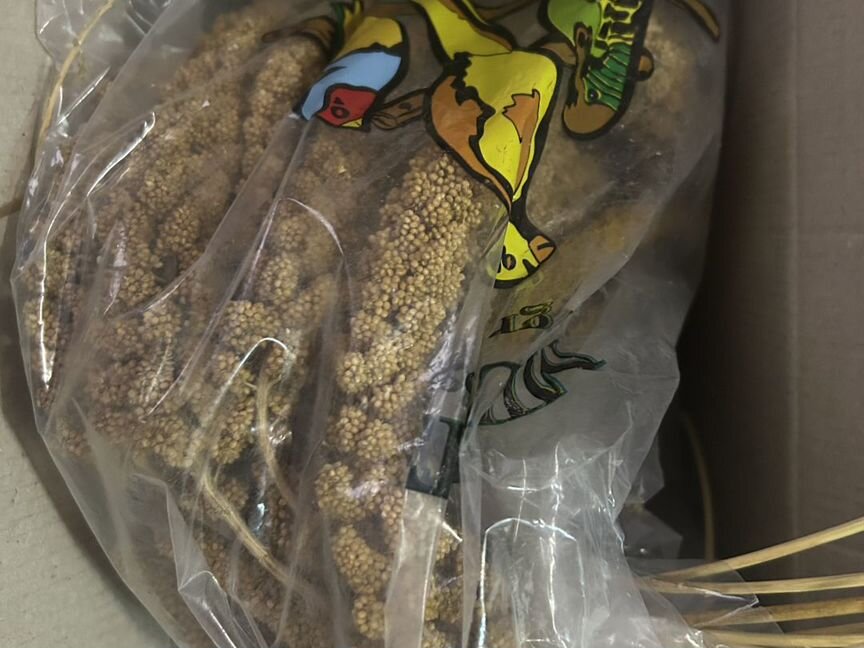 Чумиза (сенегальское просо) для попугая мешок