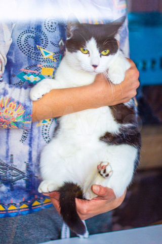 Булочка с корицей