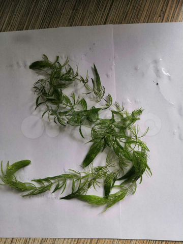 Украшение для аквариума