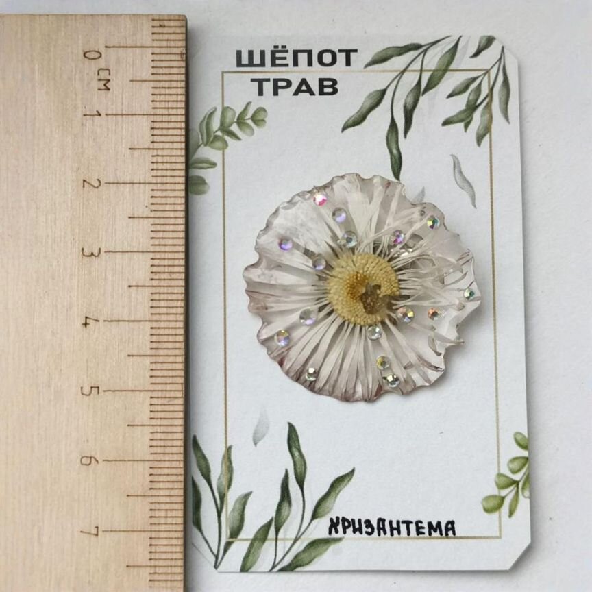 Броши из натуральных цветов